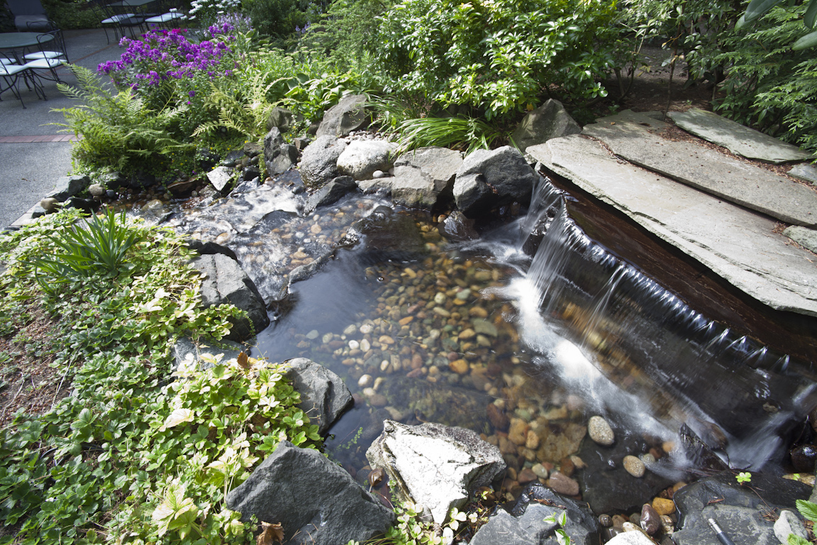 Landscape Maintenance | Edmonds Landscaping