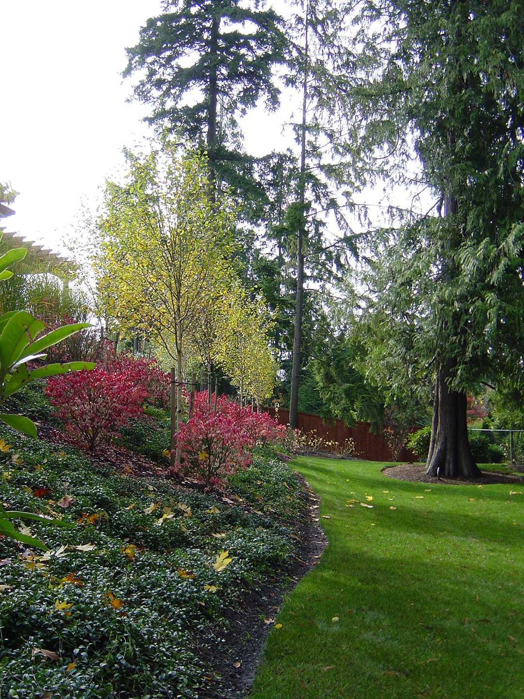 Home | Edmonds Landscaping